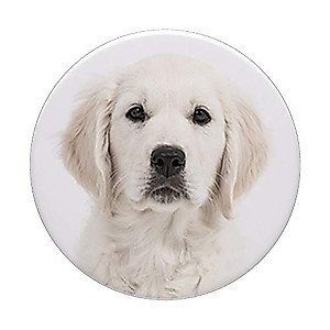 White Golden Retriever