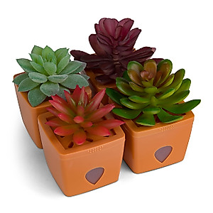 ZendoZones Fruit Fly Trap with Zendo Lure, Joyful Janet with Plastic Terra Cotta Colored Base, Refillable and Reusable