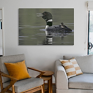Common Loon with Chick on Water Back Call Picture Poster Wall Decoration Poster in Kamloops, British Canvas Painting Wall Art Poster for Bedroom Living Room Decor 08x12inch(20x30cm) Unframe-style