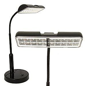 LIGHTACCENTS Battery Operated Lamp LED Desk Lamp - Cordless Lamp - Portable Office Desk Lamp Table Lamp Super Bright LED's with Adjustable Metal Neck, Use with Batteries or Included AC Adaptor(Black)