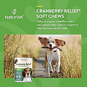 NaturVet – Cranberry Relief Plus Echinacea – Helps Support a Healthy Urinary Tract & Immune System – 120 Soft Chews