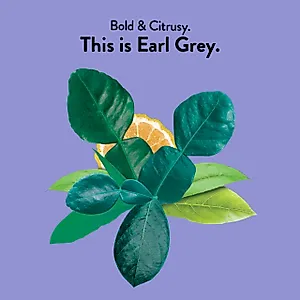 Choice Organics - Organic Earl Grey Tea (6 Pack) - With Bergamot - Fair Trade - Compostable - Contains Caffeine - 96 Organic Black Tea Bags