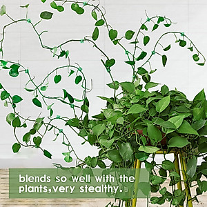 Revylink 100Pcs Plant Clips for Vines Wall Plant Clips for Climbing Plants Training Sticky Hooks Hanging Plants Climbing Wall Fixture Clips Plant Climber Vine Plant Support Green