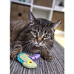 Petlinks HappyNip Crinkle Chameleon Cat Toy, Contains Silvervine & Catnip - Green, One Size