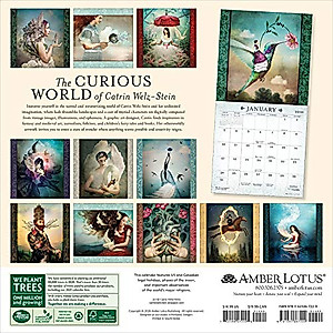 The Curious World of Catrin Welz-Stein 2021 Calendar
