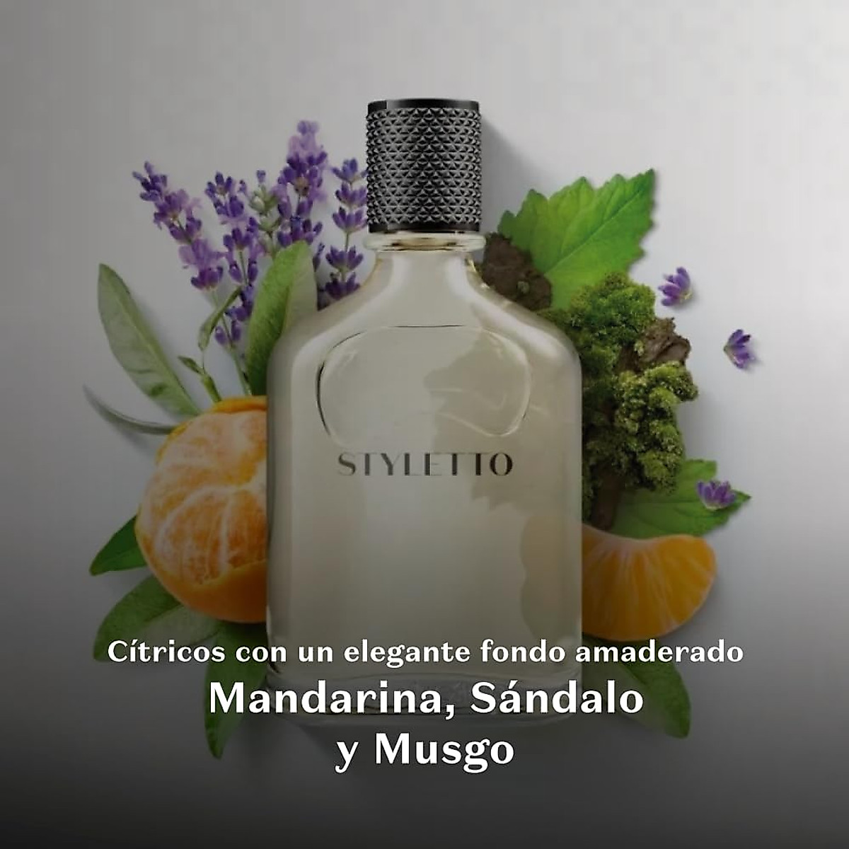 Styletto Eau de Toilette, Long-Lasting Fragrance Cologne for Men, Woody, 3.4 Ounce