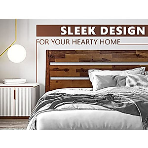 Acacia Emery 14 Inch Wood Platform Bed Frame V1 (Chocolate, Queen)