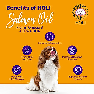 HOLI Salmon Oil for Dogs Skin and Coat | Icelandic Fish Oil for Cats & Dogs | Omega 3 EPA + DHA Supports Joint Mobility, Immune & Heart Health