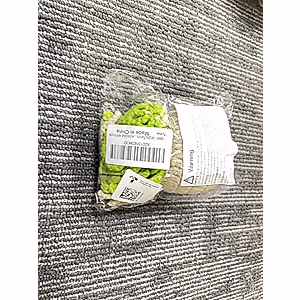 Crochet Hanging Plant for Car Cute Potted Plants Crochet Decor Car Mirror Hanging Accessories Rear View Ornament Hanging Boho Handmade Knitted Pendant (Light Green)