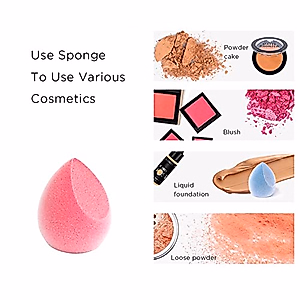Microfiber Velvet Rose Makeup Sponge, Latex-Free, Dual Layer Technology, Flawless Makeup Blender for Foundations, Powders and Creams (Pink)