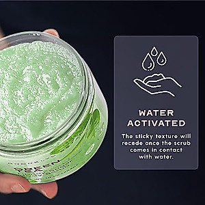 Brooklyn Botany Green Tea Honey Sugar Scrub for Body 10 oz – Deeply Hydrating and Gently Exfoliating Body Scrub for Women and Men – Moisturizing and Nourishing the Skin