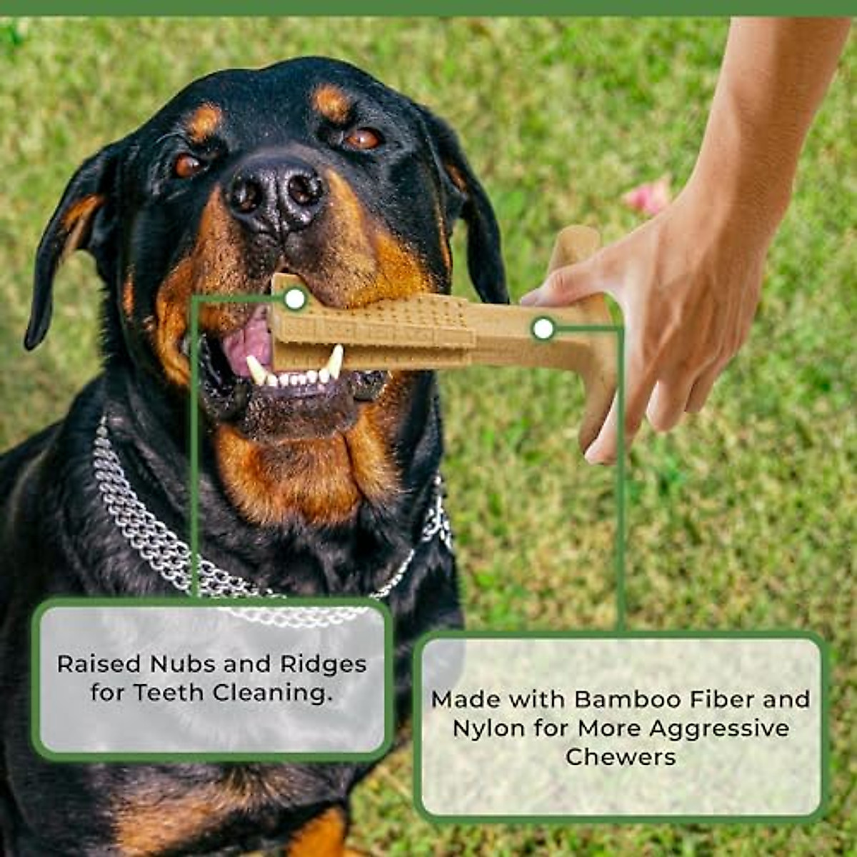 SPOT Bam-Bones Plus T Bone - Bamboo Fiber & Nylon, Durable Long Lasting Dog Chew for Aggressive Chewers – Great Toy for Adult Dogs & Teething Puppies Under 90lbs, Non-Splintering, 7in Chicken Flavor