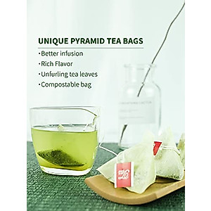 TeeLux Matcha Green Tea Bags, Classic Premium Japanese Matcha + Sencha Green Tea, Super Antioxidant, Zero Calories, Caffeinated, 100 Count