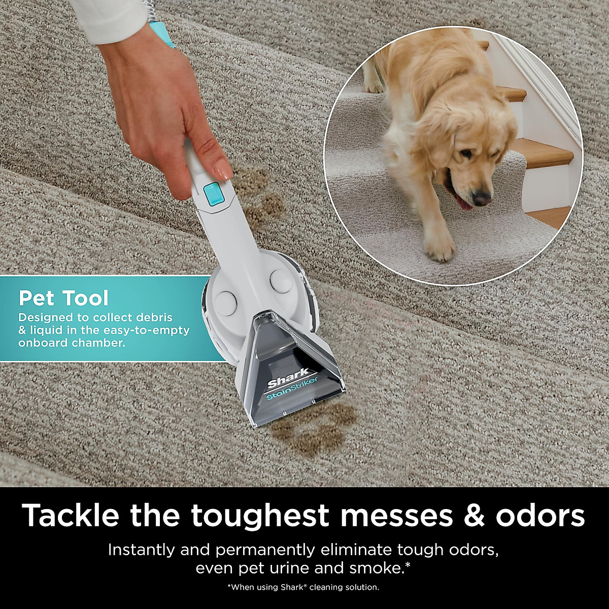 Shark PX201 StainStriker Portable Carpet & Upholstery Cleaner, Spot, Stain, & Odor Eliminator, 3 Attachments, Perfect for Pets, Carpet, Area Rugs, Couches, Upholstery, Cars & More, White