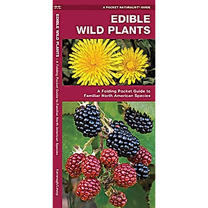 Edible Wild Plants: A Folding Pocket Guide to Familiar North American Species (Nature Observation North America)