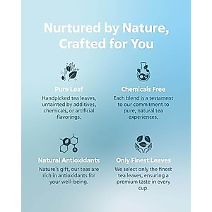 Lovare Black and Green Tea Bags Variety Pack - Made in Ukraine Tea Sampler - Individually Wrapped 90 Assorted Tea Bags - Gift Box For Tea Lovers (FEST TEA SET)