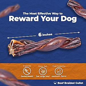 Raw Dog 6" Braided Beef Gullet Sticks (3 Pack) – 100% All Natural Dog Treats & Dental Chews, Non-GMO Grass Fed Beef, Chemical Free Low Odor