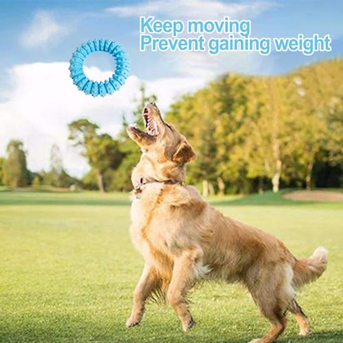 FINLALO Rubber Dog Toys, Pet Supply Outdoor Dog Ring Toy, Chew Toy Supports Dog Dental Health, Puppy Teething Toys for Small Medium Dogs (Blue)