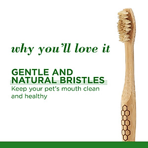 Burt's Bees for Pets Bamboo Bristle Dog Toothbrush - Naturally Derived Dog Toothbrush Made from Bamboo - BPA Free, Ergonomic Handle Toothbrush for Dogs, Bamboo Dog Toothbrush