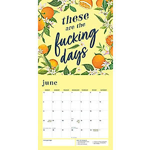 2023 She Believed She Could So She F*cking Did Wall Calendar: Get Sh*t Done & Keep Persisting (Inspiring Monthly Calendar, White Elephant Gag Gift)