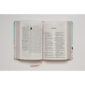 Santa Biblia NTV, Edición compacta, letra grande (SentiPiel, Menta, Letra Roja) (Spanish Edition)