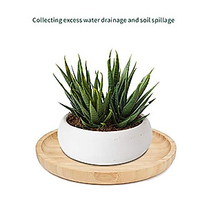 ANOTION Bamboo Plant Saucer, Suitable for 6-8 inch Plant Pots, 2 Packs Plant Pot Saucers Durable Bamboo Plant Tray for Indoors(20cm)