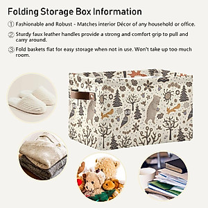 Forest Owls Bear Fox Squirrel Birds Storage Containers Foldable Large Storage Basket Storage Bins for Office Shelves Home, 1 Pack