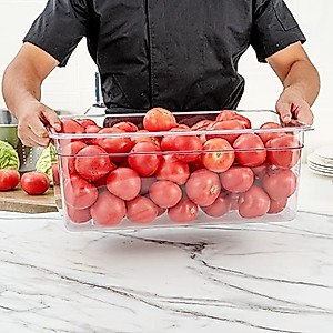 Restaurantware Met Lux Full Size Food Storage Container 1 8 Inch Deep Proofing Box - Rectangle Graduated Measurements Clear Plastic Food Grade Storage Container Dishwashable Lids Sold Separately