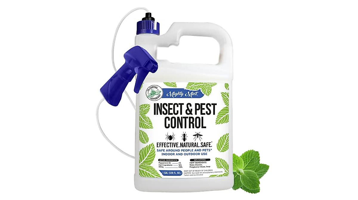 Natural Pest Control with Mighty Mint Gallon Peppermint Oil