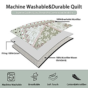 zhuzai 3 Piece Patchwork Quilt Set Full/Queen Size, Green Plaid Floral Bedspread Lightweight Reversible Microfiber Bedding with 2 Shams Shabby Chic Rose Comforter for All Season, 90''x96''