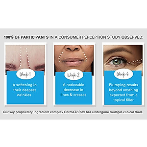 Serious Skincare - Dr. Mark Pinsky - Trace + Erase Needle Free Wrinkle Filler - Fills Visible Deep Lines, Wrinkles and Creases - Helps Restore Skin's Elasticity and Tone - Face and Neck 1 Fl Oz