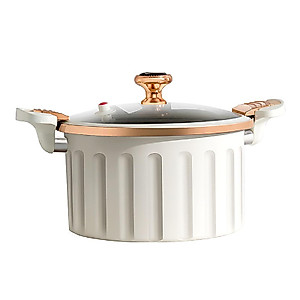 Olla de presion Non-stick Enamel Micro Pressure Cooker,Enamel Lining Pressure Cooker Non-Stick Push Pull Lock Pressure Pot with Lid Silicone Seal Spill-Proof Valve Pressure Pot,White