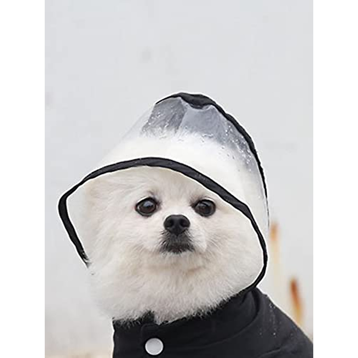 Milumia Pet Raincoat Transparent Hood Waterproof Rain Jacket Poncho for Small Medium Dogs Black Medium
