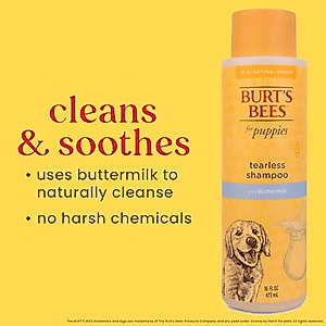 Burt's Bees for Pets Tearless Puppy Shampoo with Buttermilk, 95% Natural Origin Formulas, Shampoo for Puppies - Gentle Dog and Puppy Shampoo Tear Free, Best Puppy Shampoo Tearless, 16 oz