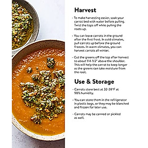 Burpee Scarlet Nantes Carrot Seeds 3000 seeds