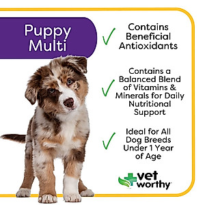 Vet Worthy Puppy MultiVitamins - Multivitamin for Puppies to Support Optimum Health & Overall Wellness - Dog Supplement with Iron,Magnesium,Zinc,Vitamin A,B Vitamins - Liver Flavor,60 Chewable Tablets
