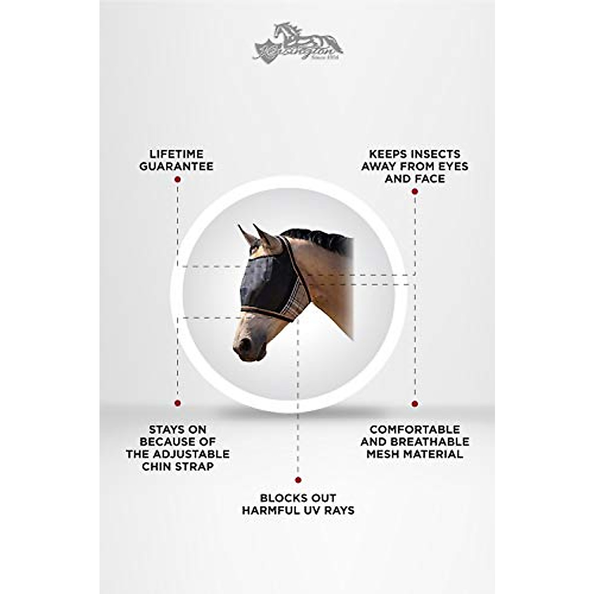 Kensington UViator CatchMask Horse Fly Mask with Web Trim UV Eye Protection Mask for Horse - Large, Deluxe Black
