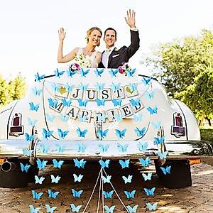 zilue Butterfly Banner Decorative Paper Garland for Wedding Baby Shower Birthday Theme Decor 110 Inches Long Pack of 2 Pieces Blue