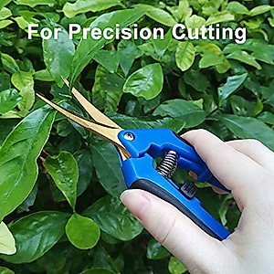 GROWNEER 6 Packs 6.5 Inch Pruning Shears with Curved Blades Trimming Scissors For Cannabis Gardening Hand Pruning Snips Titanium Coated Precision Blades