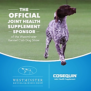 Nutramax Cosequin Maximum Strength Joint Health Supplement for Dogs - With Glucosamine, Chondroitin, and MSM, 2 Pack, 264 Total Chewable Tablets