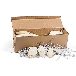 Cuttlebone Bulk 25 Count, Medium: 4 - 6 inches, for Birds, Tortoises
