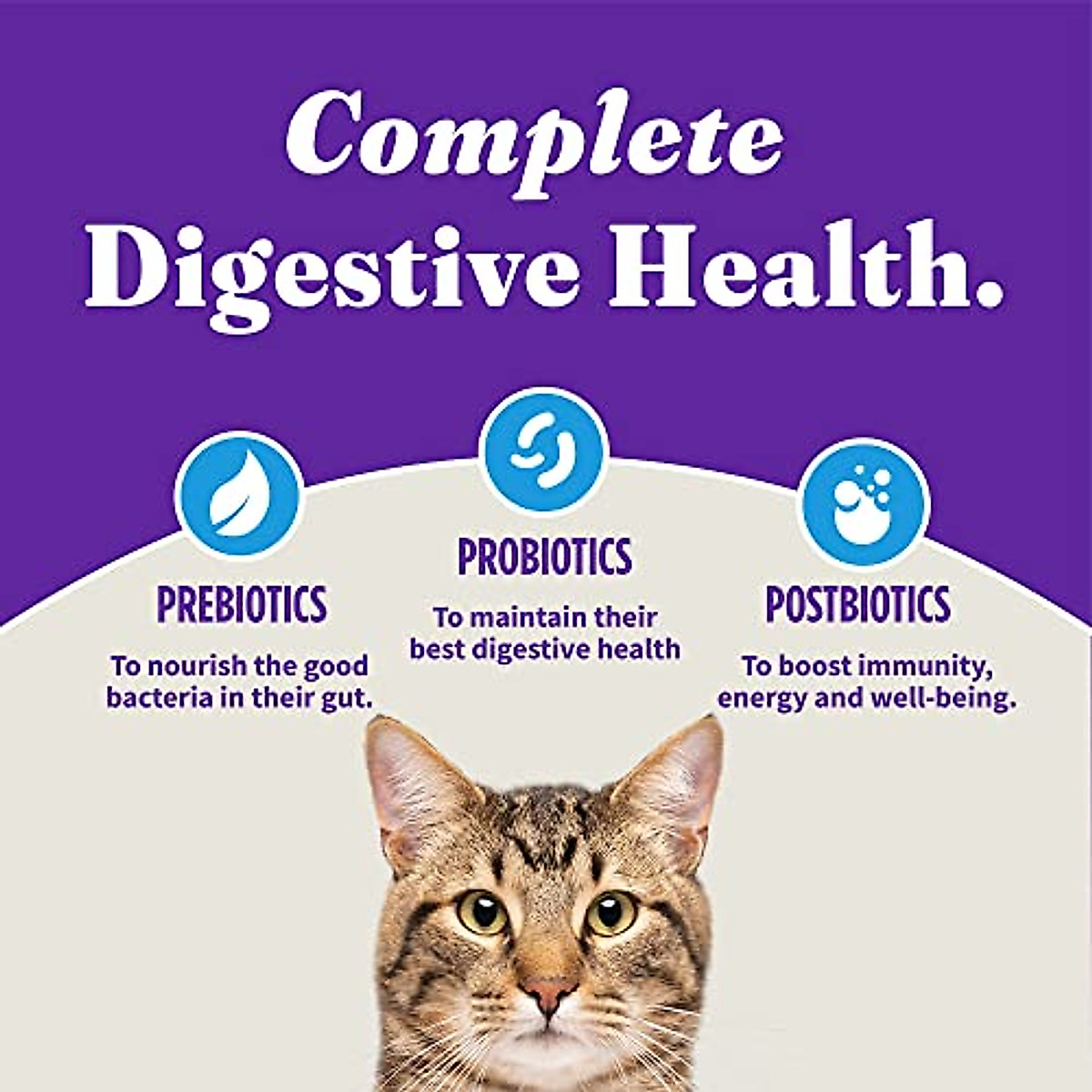 Halo Holistic Cat Food Dry, Wild-caught Whitefish Recipe for Sensitive Stomach Support, Complete Digestive Health, Dry Cat Food Bag, Sensitive Stomach Formula, 6-lb Bag