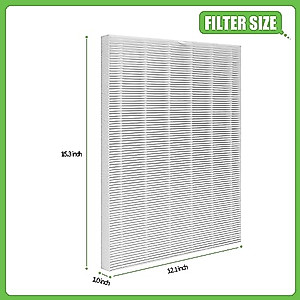 Hichoryer D360 True HEPA Replacement Filter D3, Compatible with Winix D360 Air Purifier, Part Number 1712-0101-02, 2 H13 True HEPA Filters & 8 Activated Carbon Filters