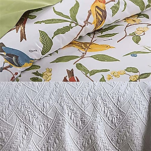 Brandream 6-Piece Quilt Bedding Set King Size 100% Cotton Birds Rustic Bed in A Bag