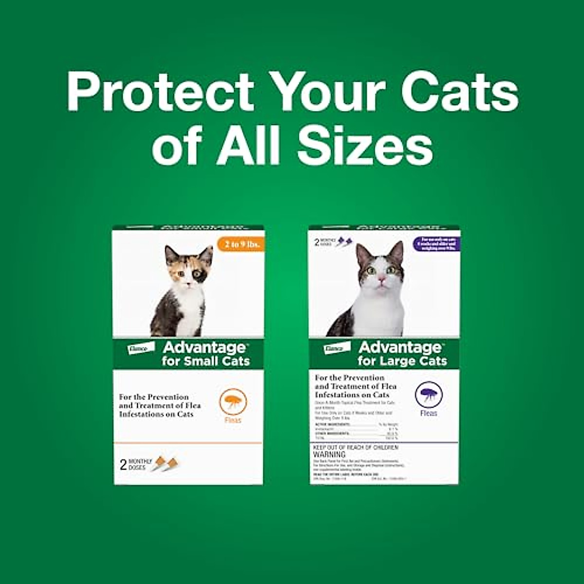 Advantage Topical Cat Flea Treatment and Prevention for Large Cats Over 9 lbs. | Apply Flea Drops Monthly | 2 Treatments