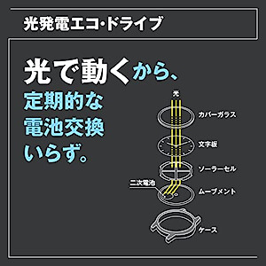 Citizen BN0199-53X [PROMASTER Marine Series Eco-Drive Diver 200m] Watch Imported from Japan Feb 2023 Model Green