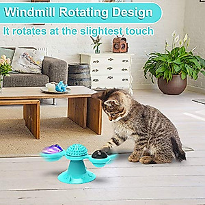 GBSYU Interactive Windmill Cat Toys with Catnip : Cat Toys for Indoor Cats Funny Kitten Toys with LED Light Ball Suction Cup‖Cat Nip Toy for Cat chew Exercise (Blue)