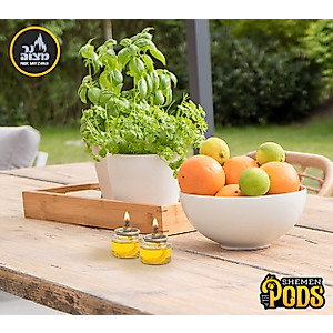 Ner Mitzvah Extra Virgin Olive Oil Shabbat Candles - 4 Hour Olive Oil Candles - 24 Pack Pre-Filled Shabbos Candles with Quick Light Technique