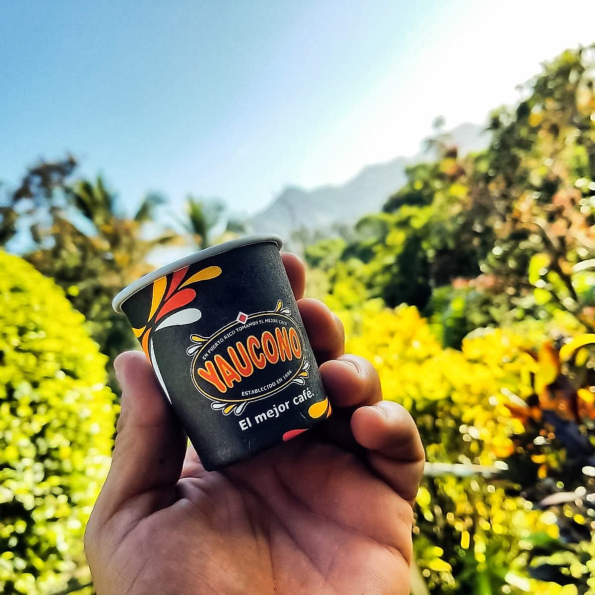 Yaucono Ground Medium Roast Arabica Coffee Single-Serve Pods, 72 Count, Compatible with Keurig K Cup Brewers