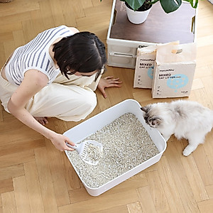 FUKUMARU Tofu Cat Litter Super Ultra Absorbent, Dust Free Cat Litter, Flushable, Lightweight, Quick Clumping, Low Tracking, Odor Control, White Tea Light Aroma Mixed Cat Litter, 16.5 LBS (3 Packs)